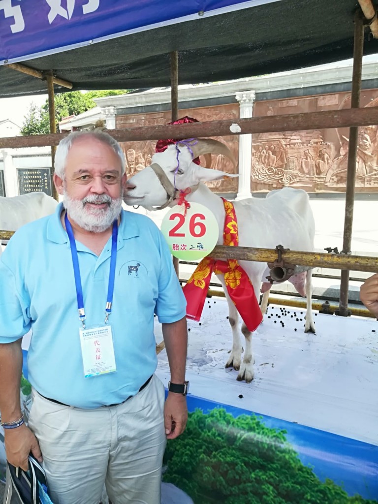 CABRAS CON LA BUFANDA DEL MENSAJERO - El Cotarro